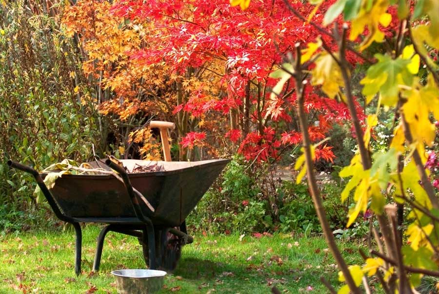 Fall garden maintenance – Jardening